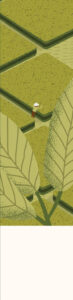 Saychizu